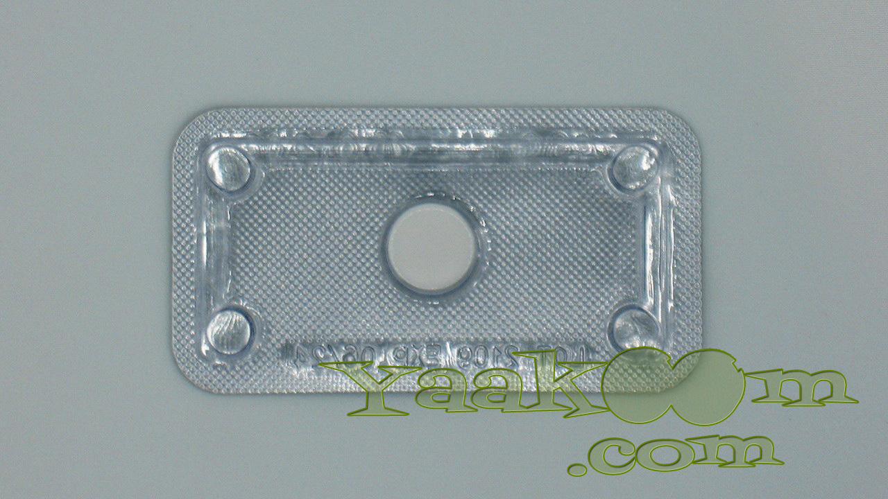 เมเปิ้ล ฟอร์ท (Maple forte) - ยาคุมดอทคอม