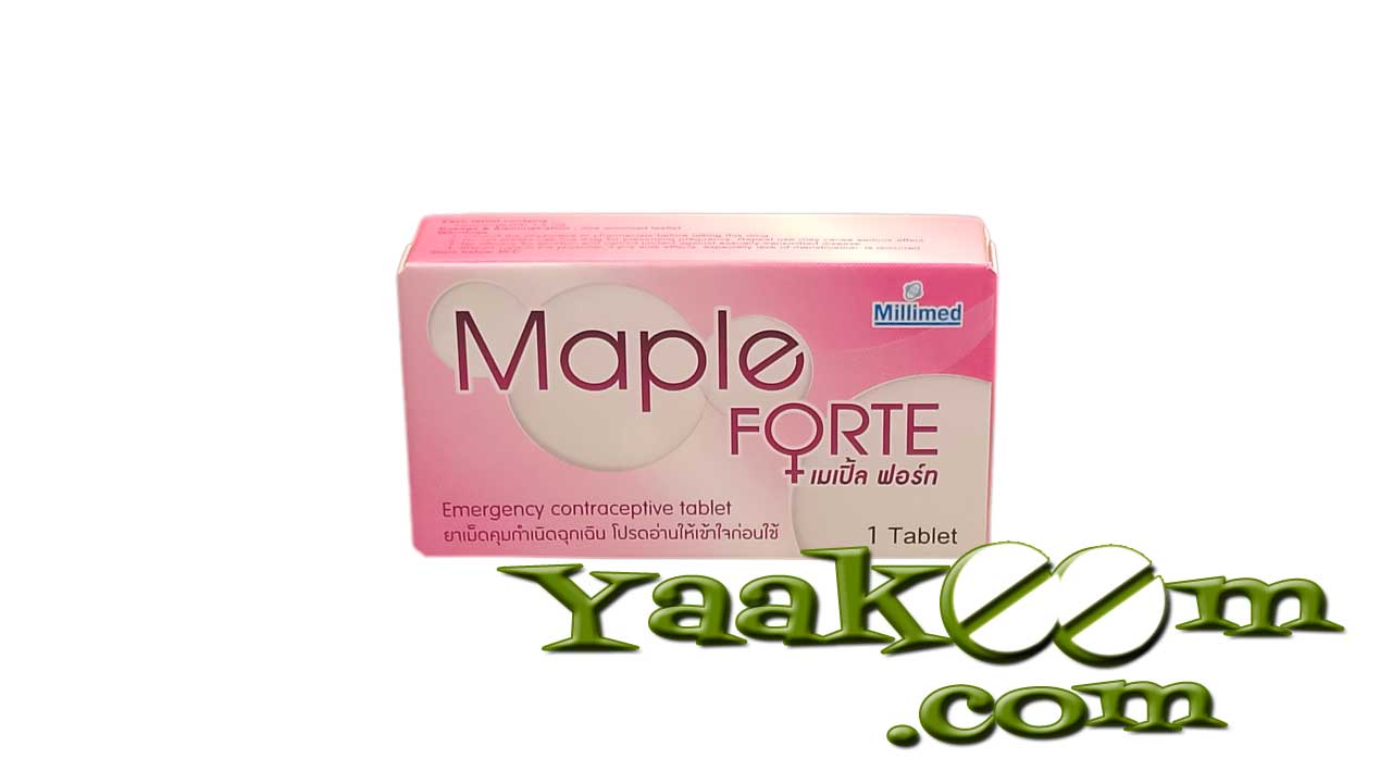 เมเปิ้ล ฟอร์ท (Maple forte) - ยาคุมดอทคอม
