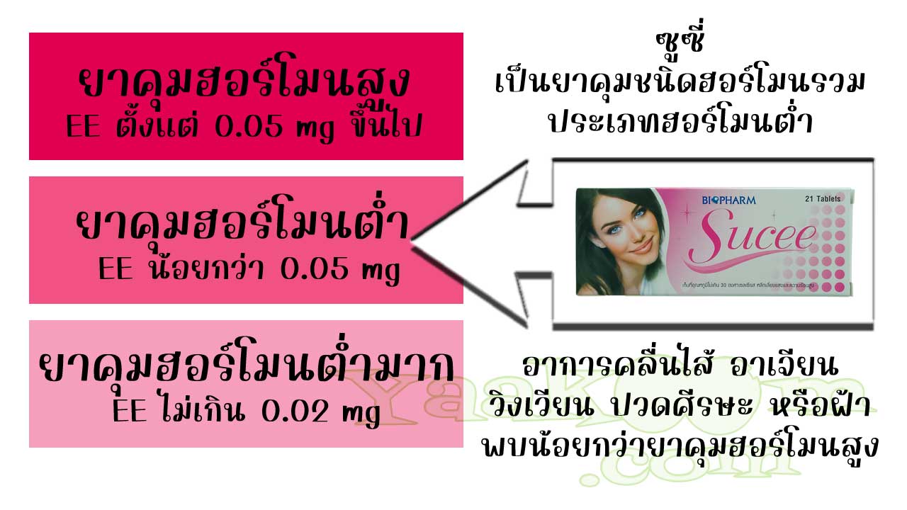 ซูซี่ (Sucee) - ยาคุมดอทคอม
